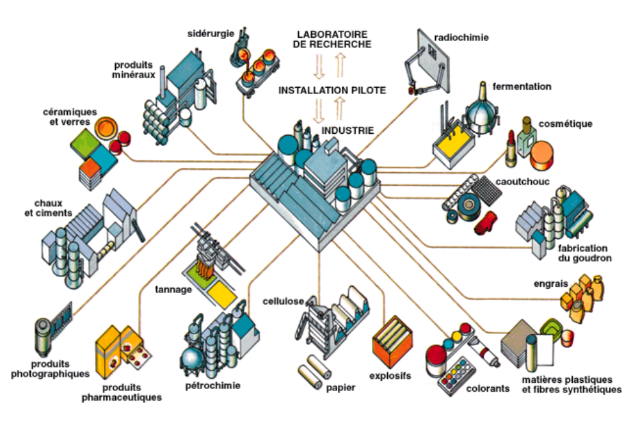 Section : les métiers | Site web Master Formulation | Moodle - Lyon1