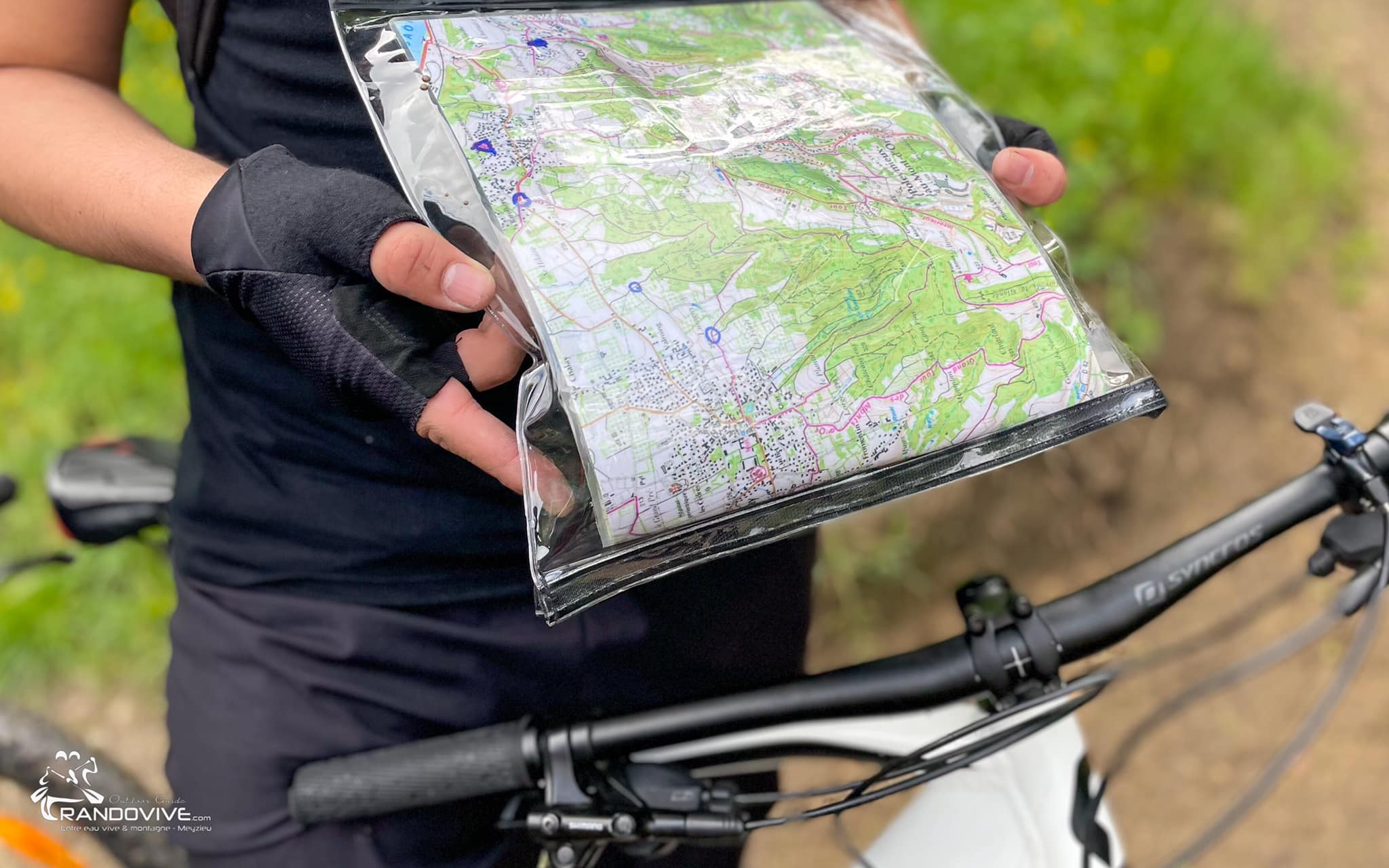 VTT Orientation - L2 UFRSTAPS | Moodle - Lyon1