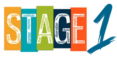 Stage BUT 1 TC | Moodle - Lyon1